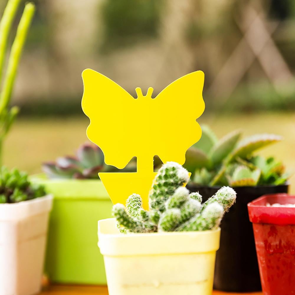 Dual-Sided Yellow Sticky Traps for Flying Plant Insect Like Fungus ...