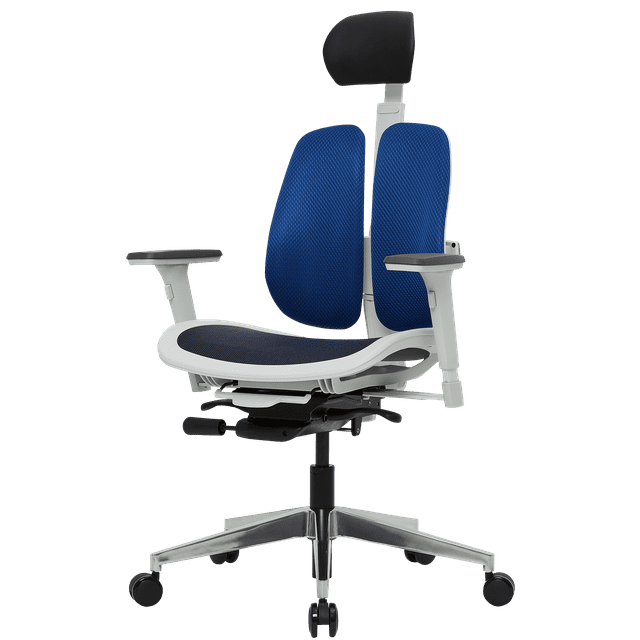 [Dual-backrests] Duorest Alpha - Ergonomic Office Chair, Home Office ...