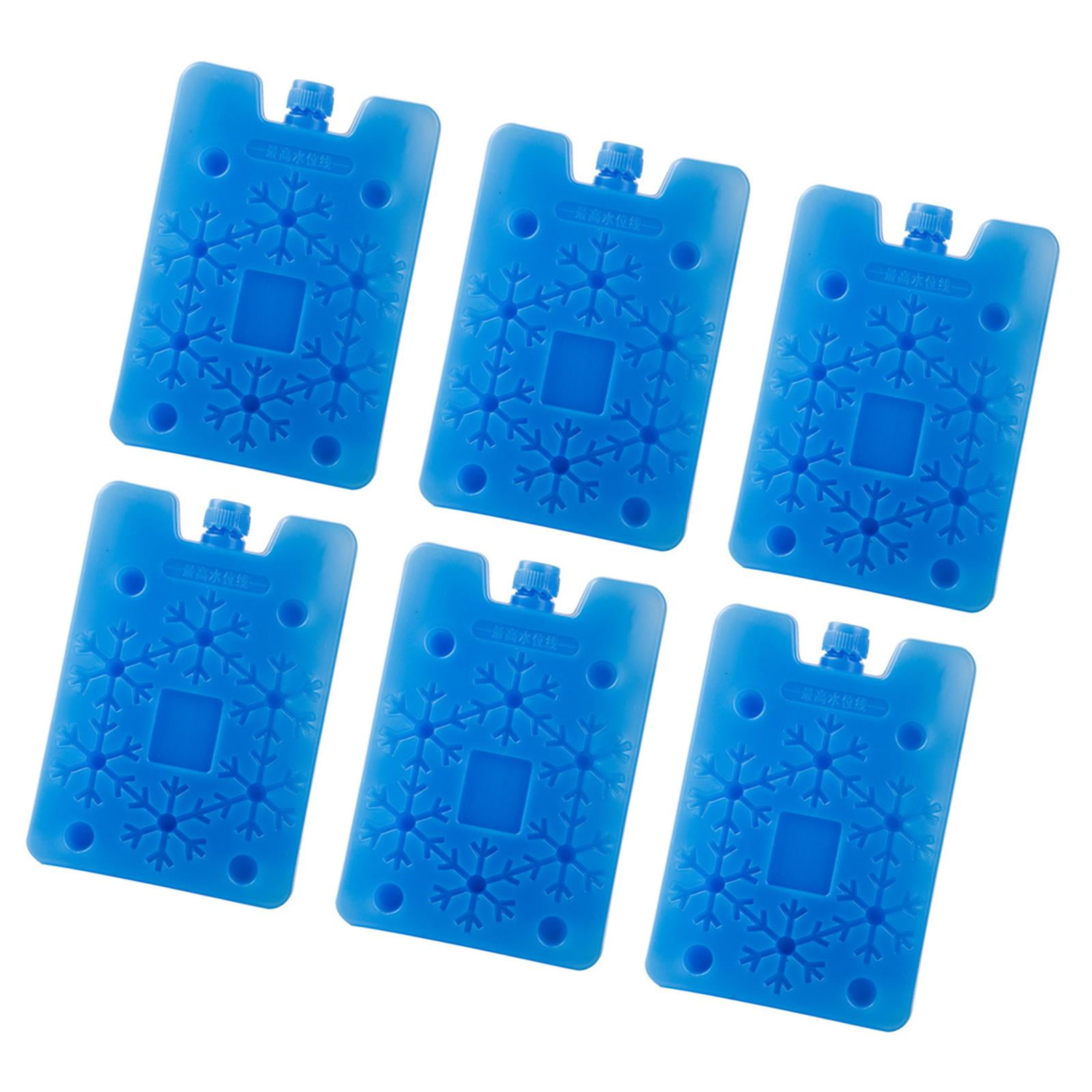Dualoai 6x Ice Boxes Sturdy Cold Chain Transport Box for Air ...