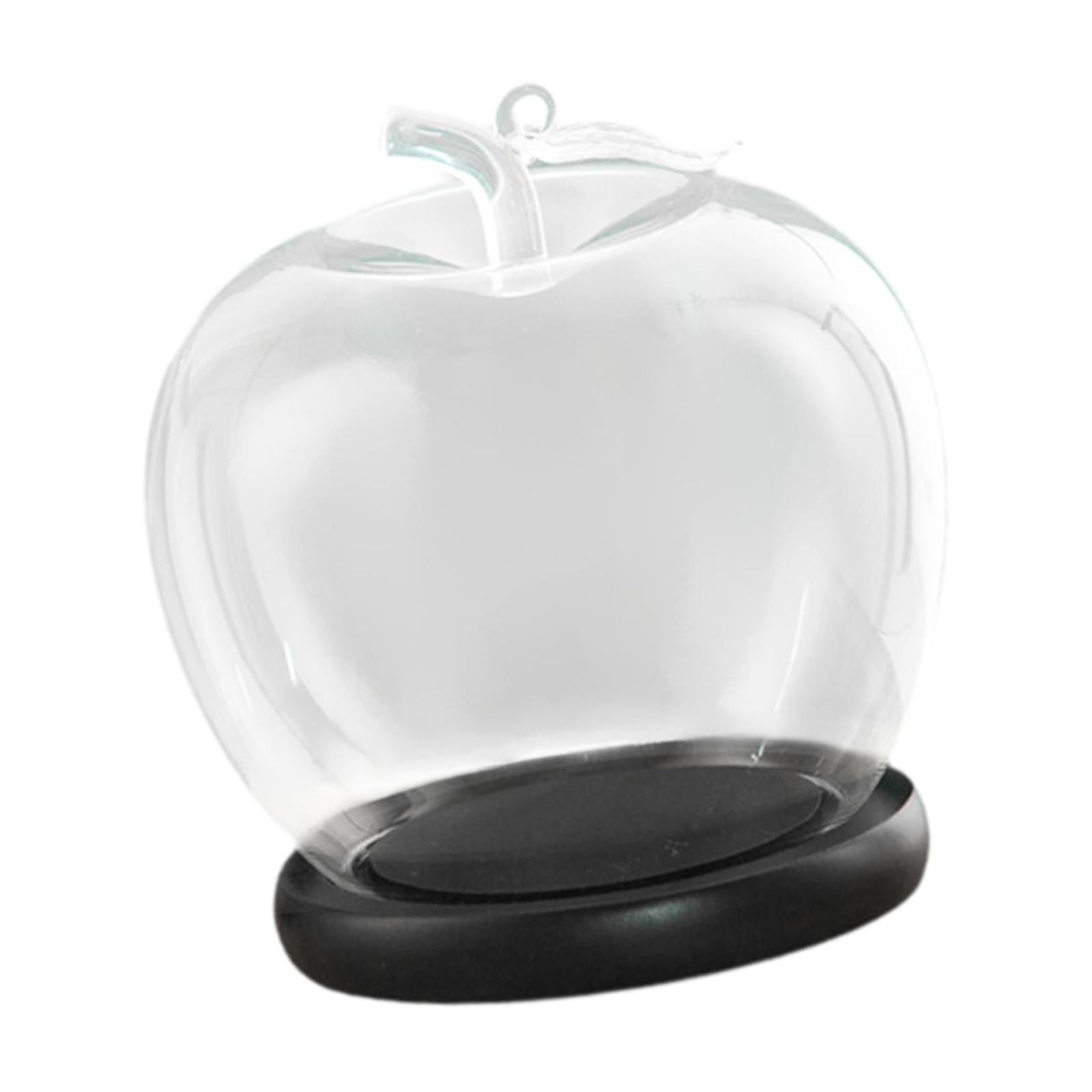 Dualoai Clear Glass Dome Jar Display Wedding Party Supplies Diameter ...