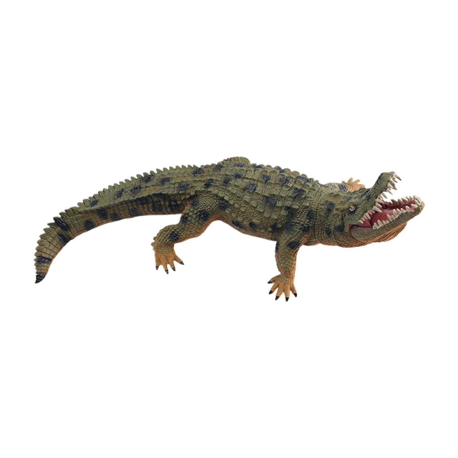 Dualoai Crocodile Figure Toy Collection Home Decoration 12.80inch ...