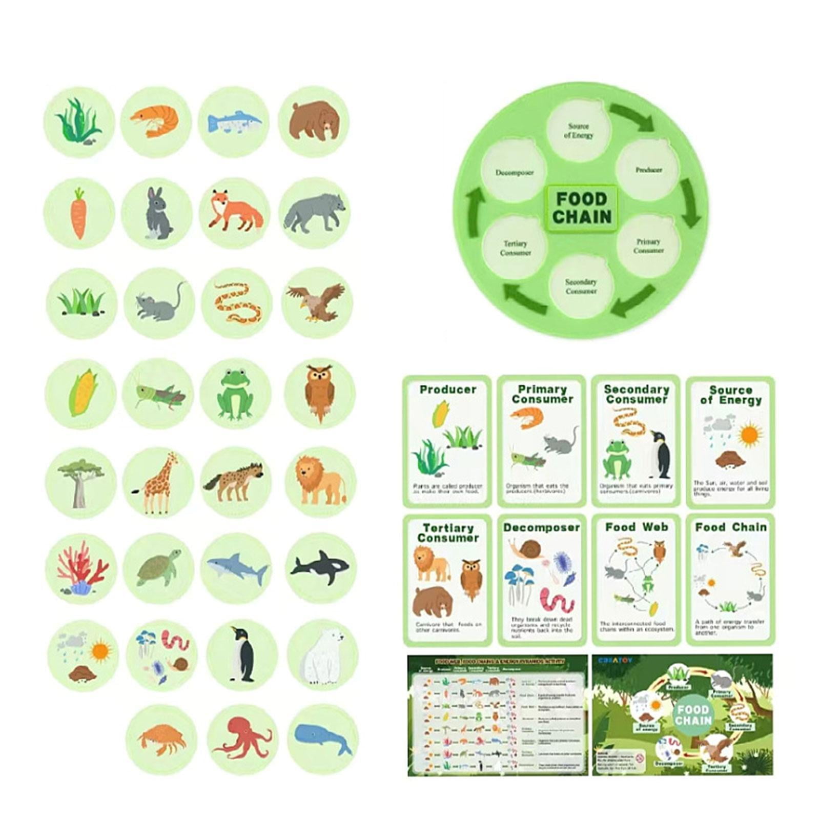 Dualoai Food Chain Animal Matching Party Favors Fun Learning Life Cycle ...