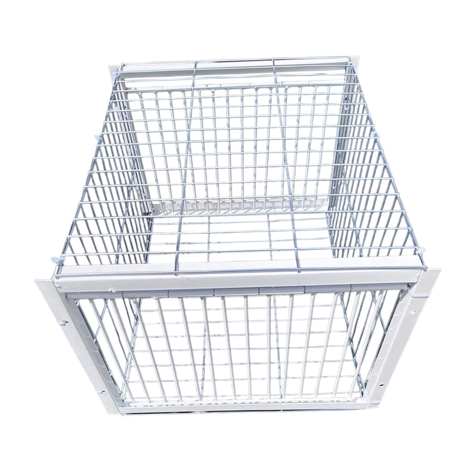 Dualoai Pigeon Animal Cage Bird Supplies Easy Assembly Automatic Pigeon ...