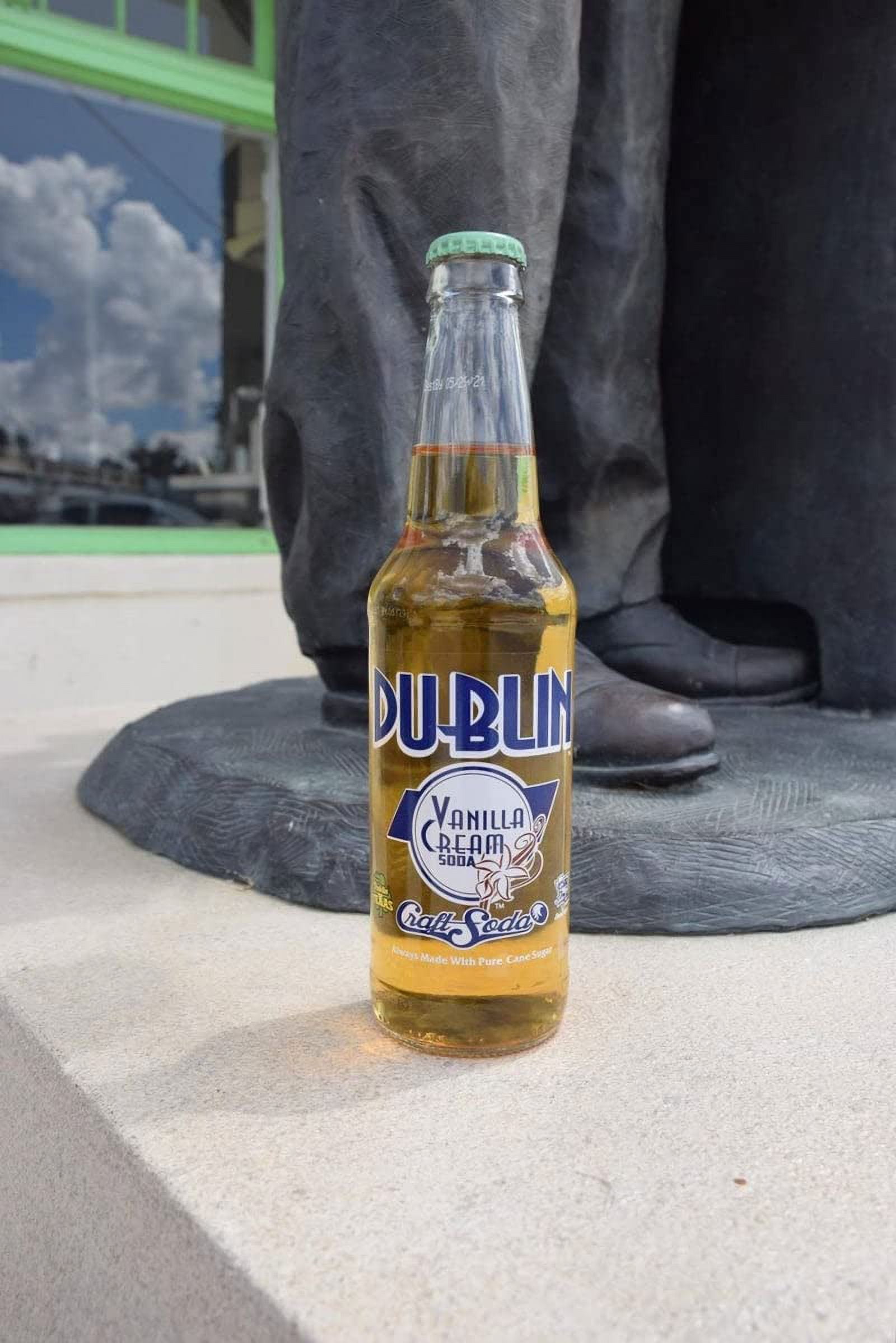 Dublin Bottling Works 12 Pack Sodas in Glass Bottles - 16 Different ...