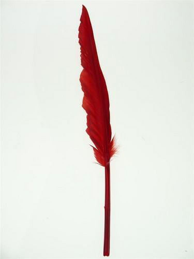 Duck Feather Decorative, 14-inch, 10-piece, Red - Walmart.com