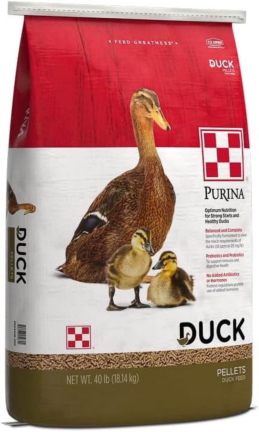 Duck Food Pellets with Niacin, Prebiotics & Probiotics, Nutritionally ...