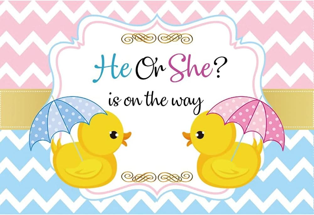 Duck Gender Reveal Backdrop Pink Blue White Stripe He or She Photograph ...