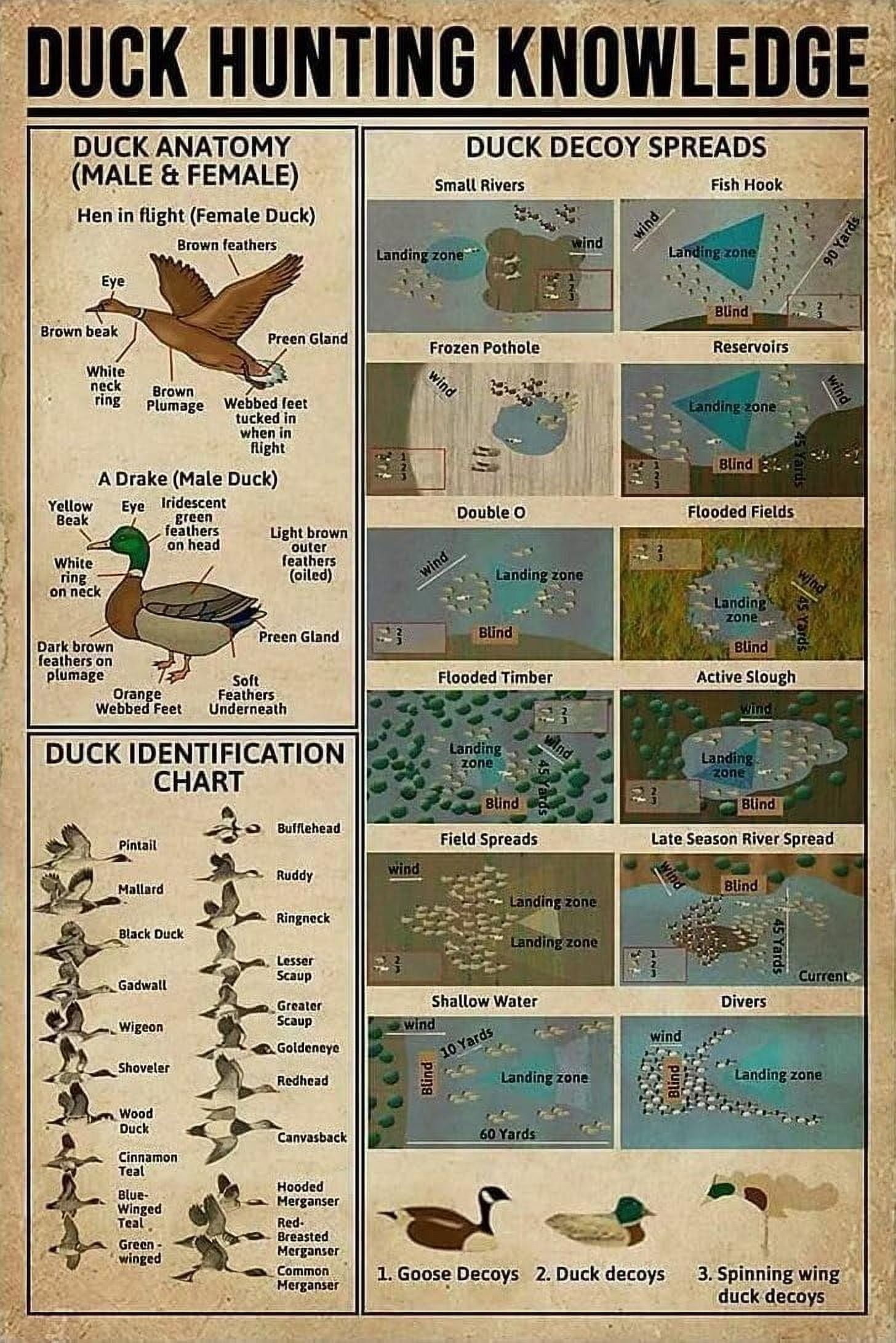 Duck Hunting Knowledge Diamond Art Painting Kits for Adults 5D Duck ...