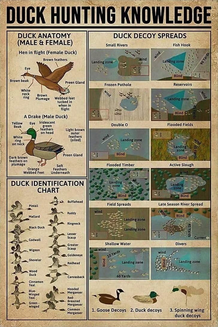 Duck Hunting Knowledge Jigsaw Puzzles 500 Pieces For Adults - Wooden ...