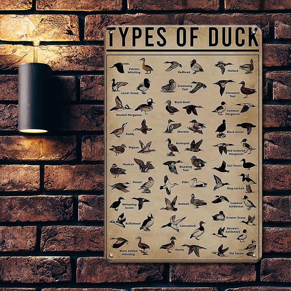 Duck Knowledge Hunting Decor Metal Poster - Types of Duck Breeds of ...