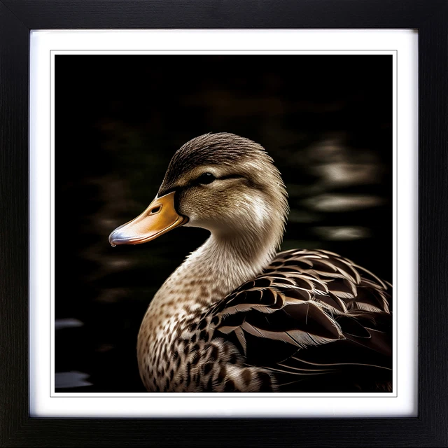Duck Photograph Wall Art Print Poster Home Decor Art Home Decor Vintage ...