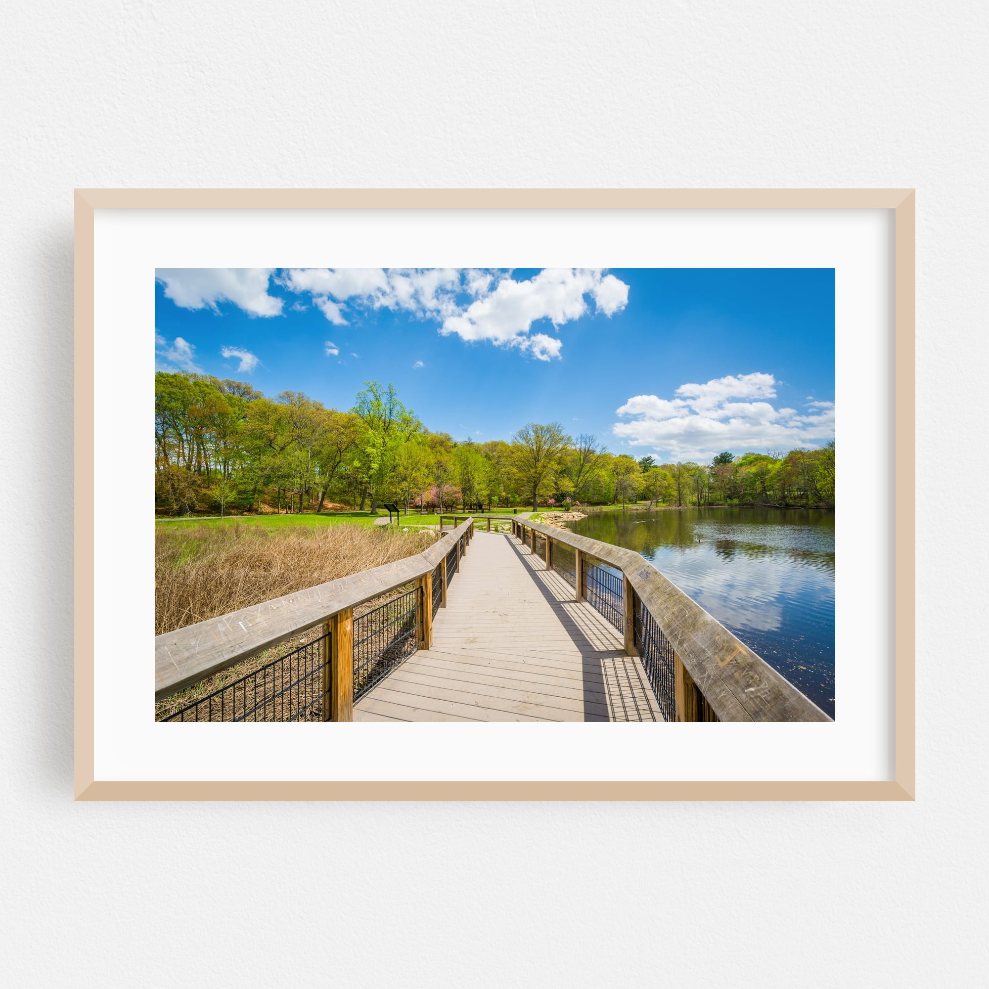 Duck Pond at Edgewood Park, New Haven 03 - New Haven Connecticut ...