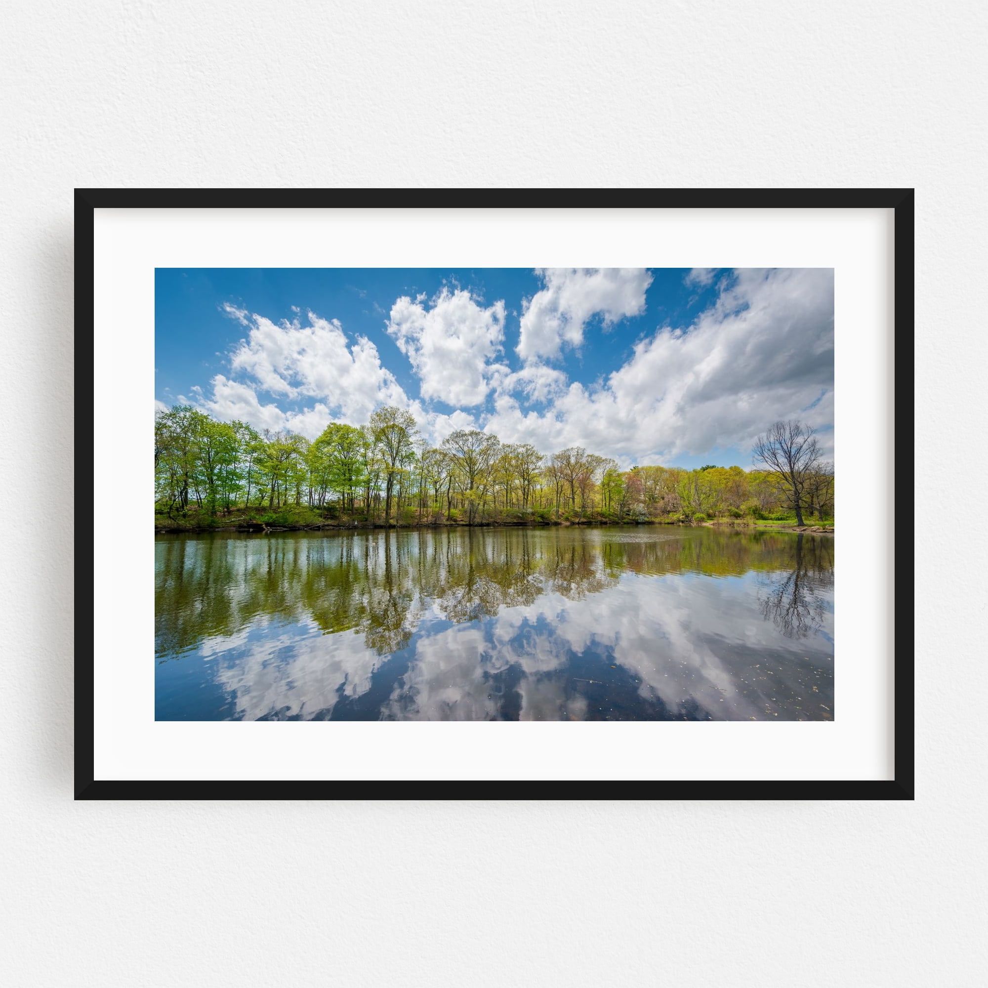 Duck Pond at Edgewood Park, New Haven 01 - Photography Nature Landscape ...
