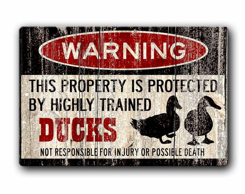 Duck Sign,Funny Metal Sign,Duck warning Sign,Duck eggs,Funny Duck sign ...
