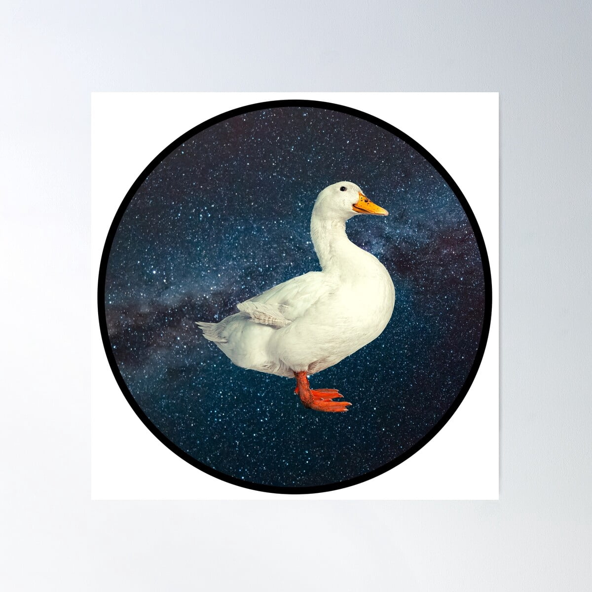 Duck Universe Ocean Poster Wall Art, Modern Wall Decor For Living Room ...