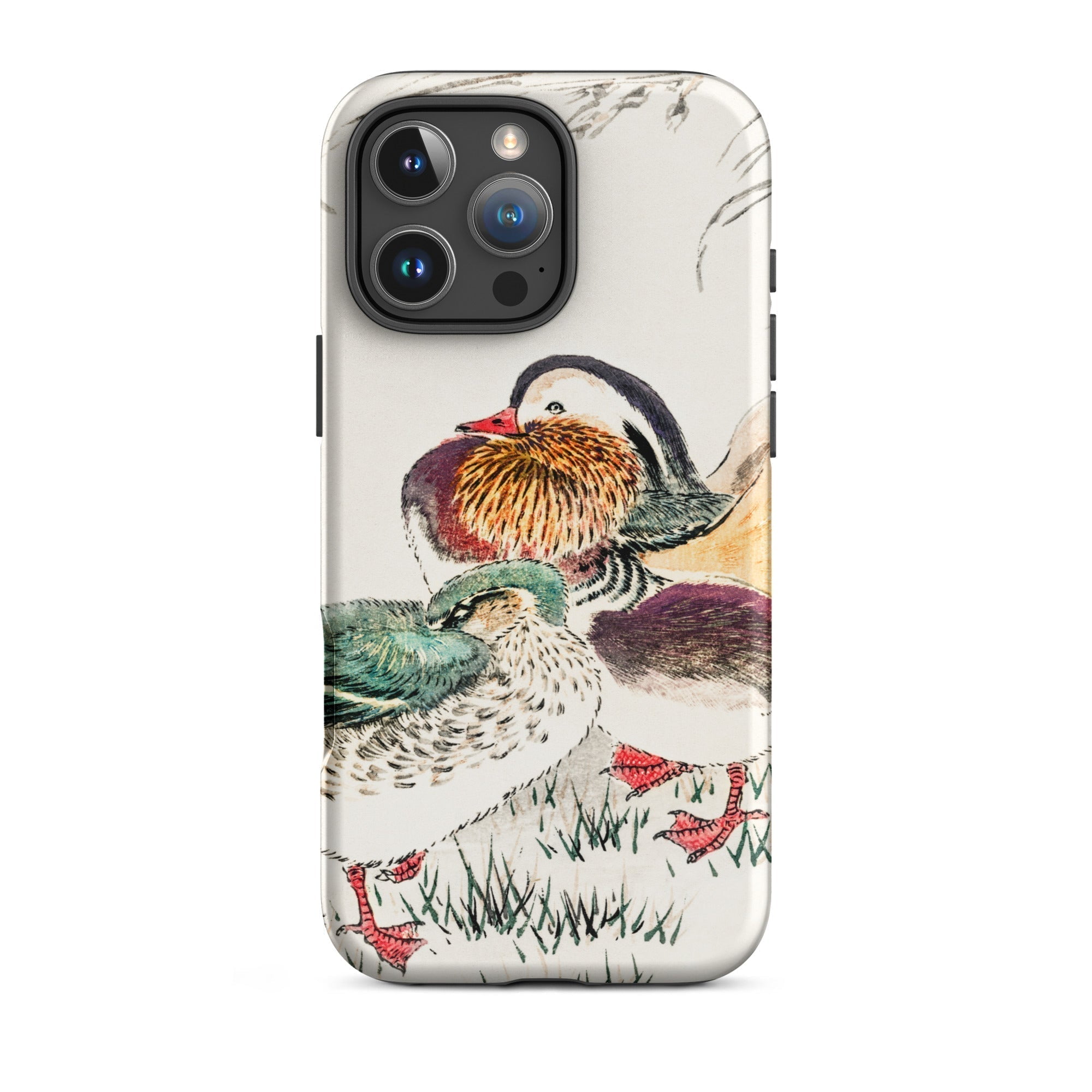 Duck and Barley by Numata Kashu Meiji Famous Bird Painting Art Case for ...