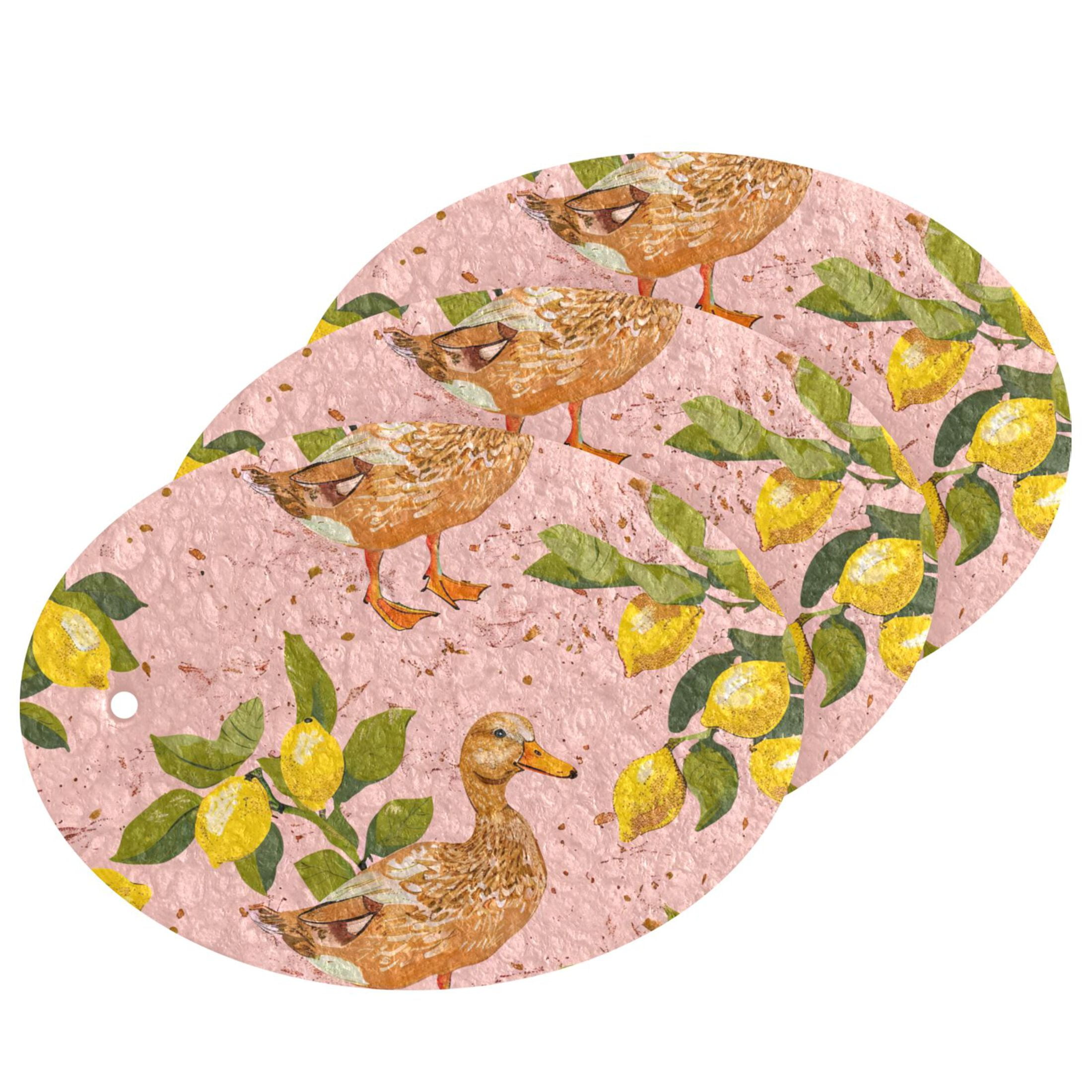 Duck with Lemon 3 Dish Sponges Bulk Delicate Clean Non Scratch ...
