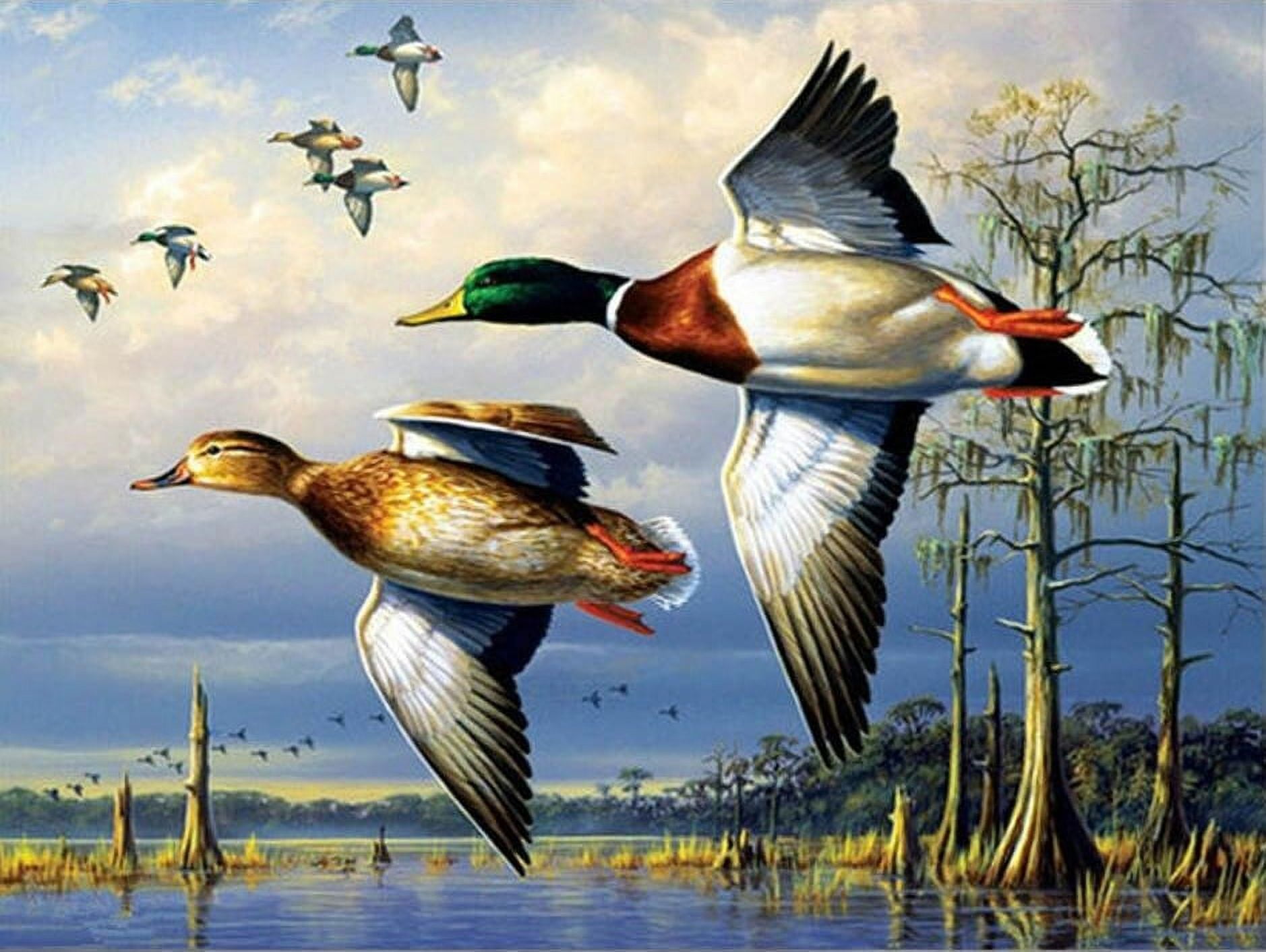 Lovely Lust Ducks Paint By Numbers Kit, Canvas, Acrylic Paint, Brushes ...