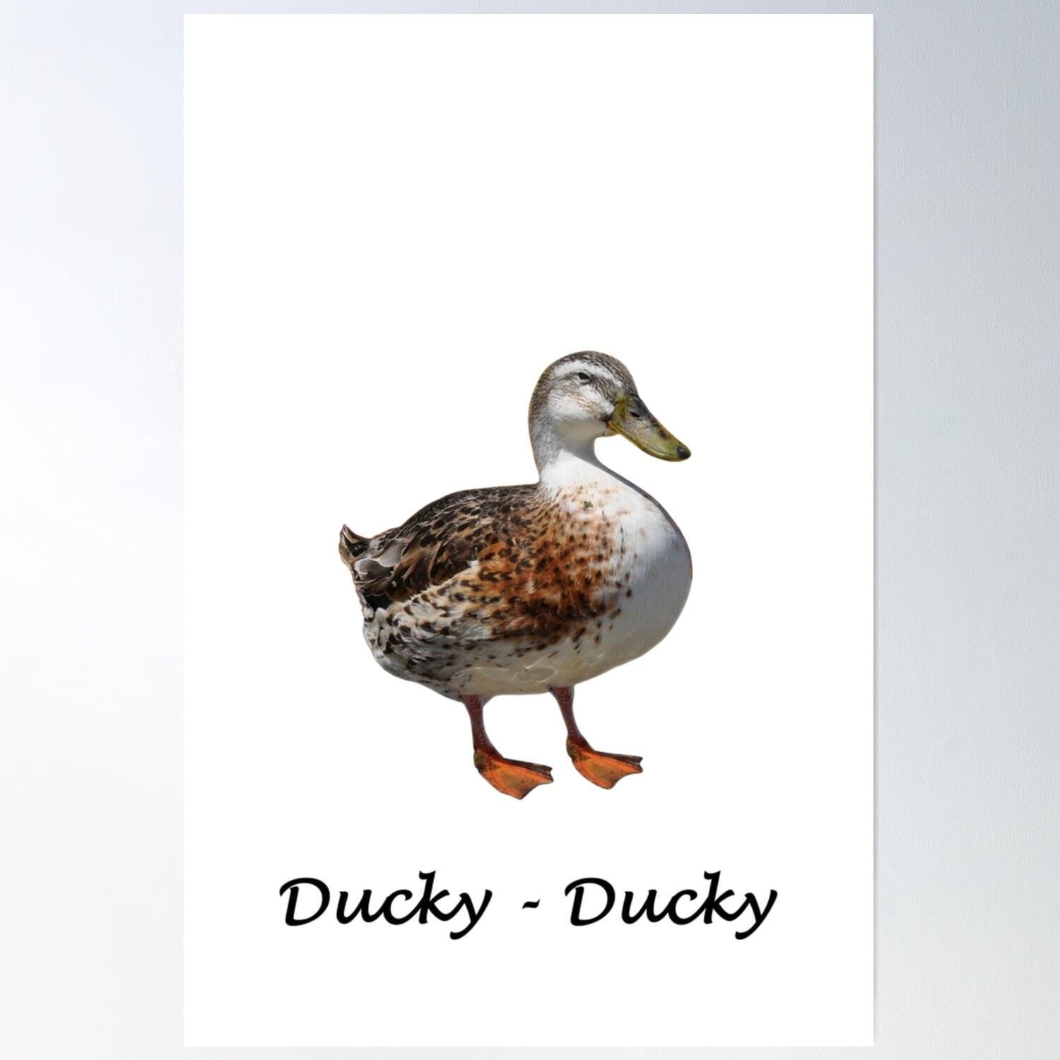 Ducky - Ducky Poster Wall Art, Modern Wall Decor, 12x18 UNFRAMED ...