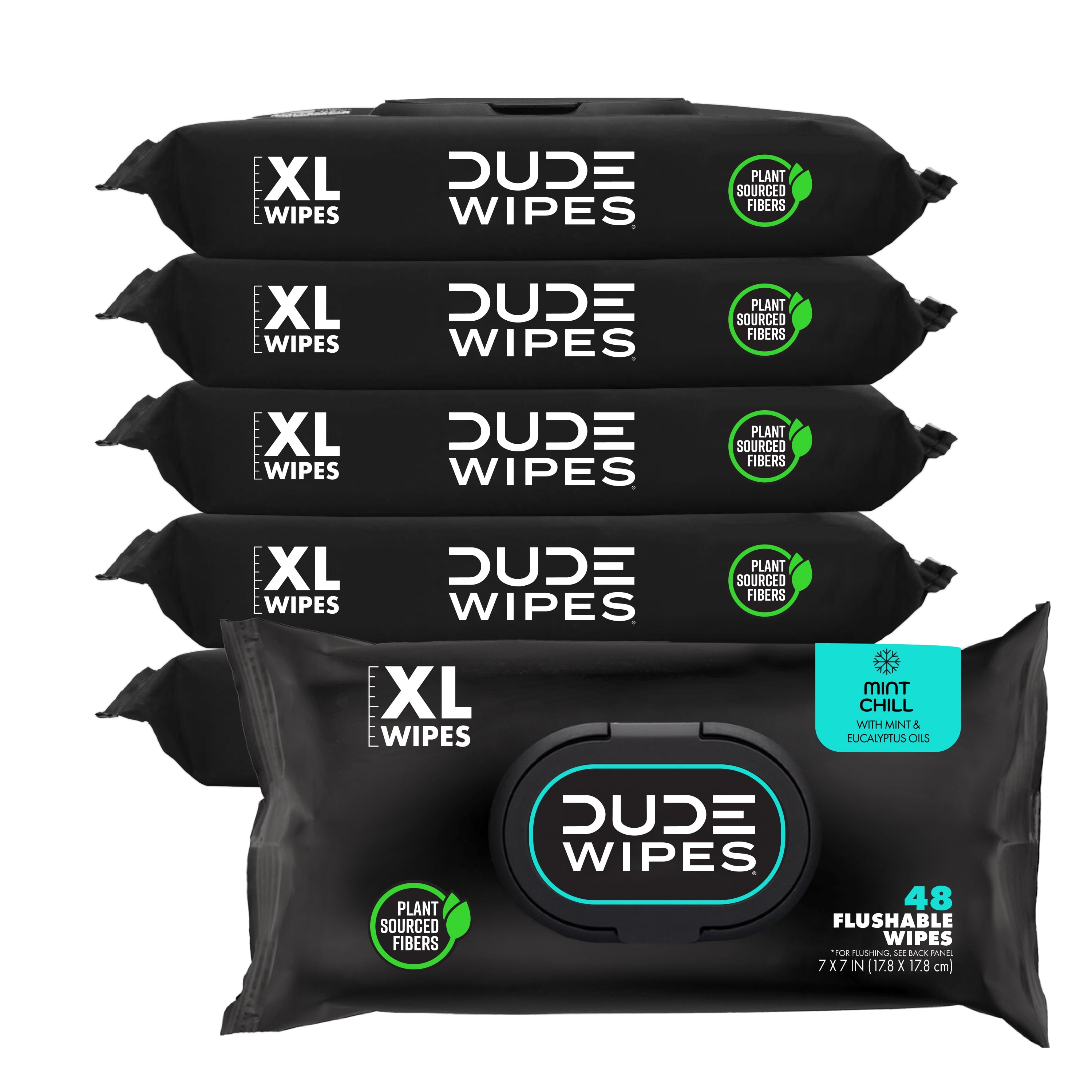 Dude Wipes Mint Chill Flushable Wipes 6 - 48 Wipe Packs - Walmart.com
