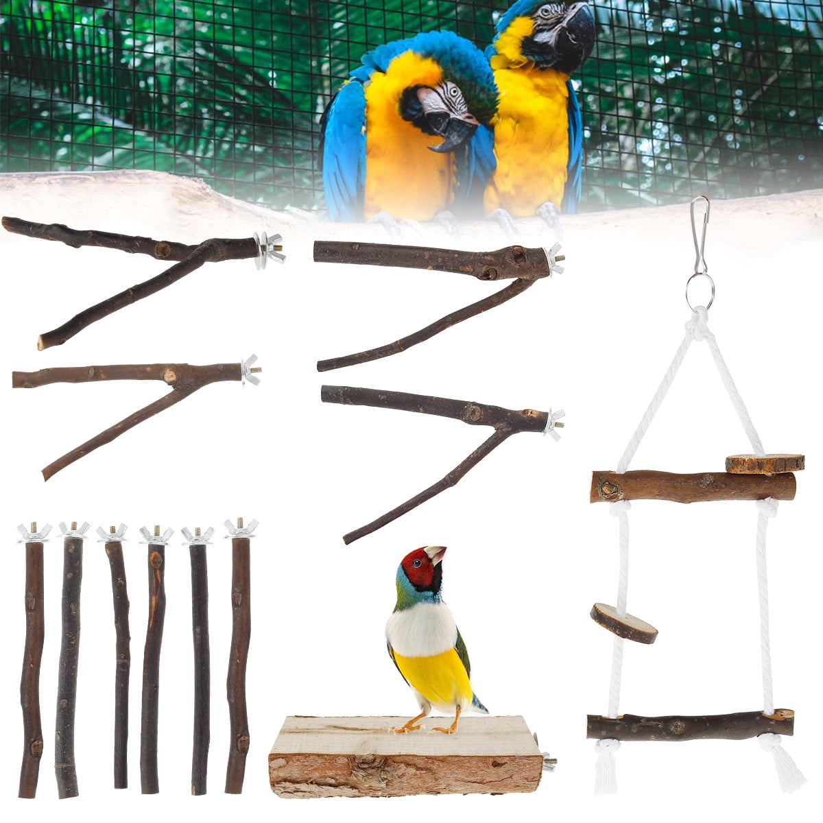Duety Bird Standing Stick,Parrot Standing Natural Wood Stick Platform ...