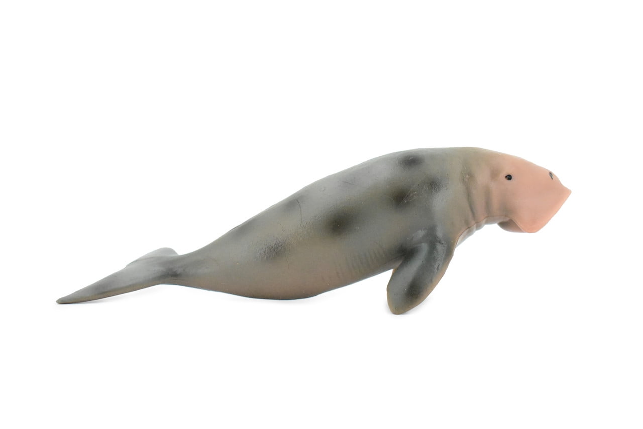Dugongs, Manatee, Sea Cow, Museum Quality, Hand Painted, Very Realistic ...