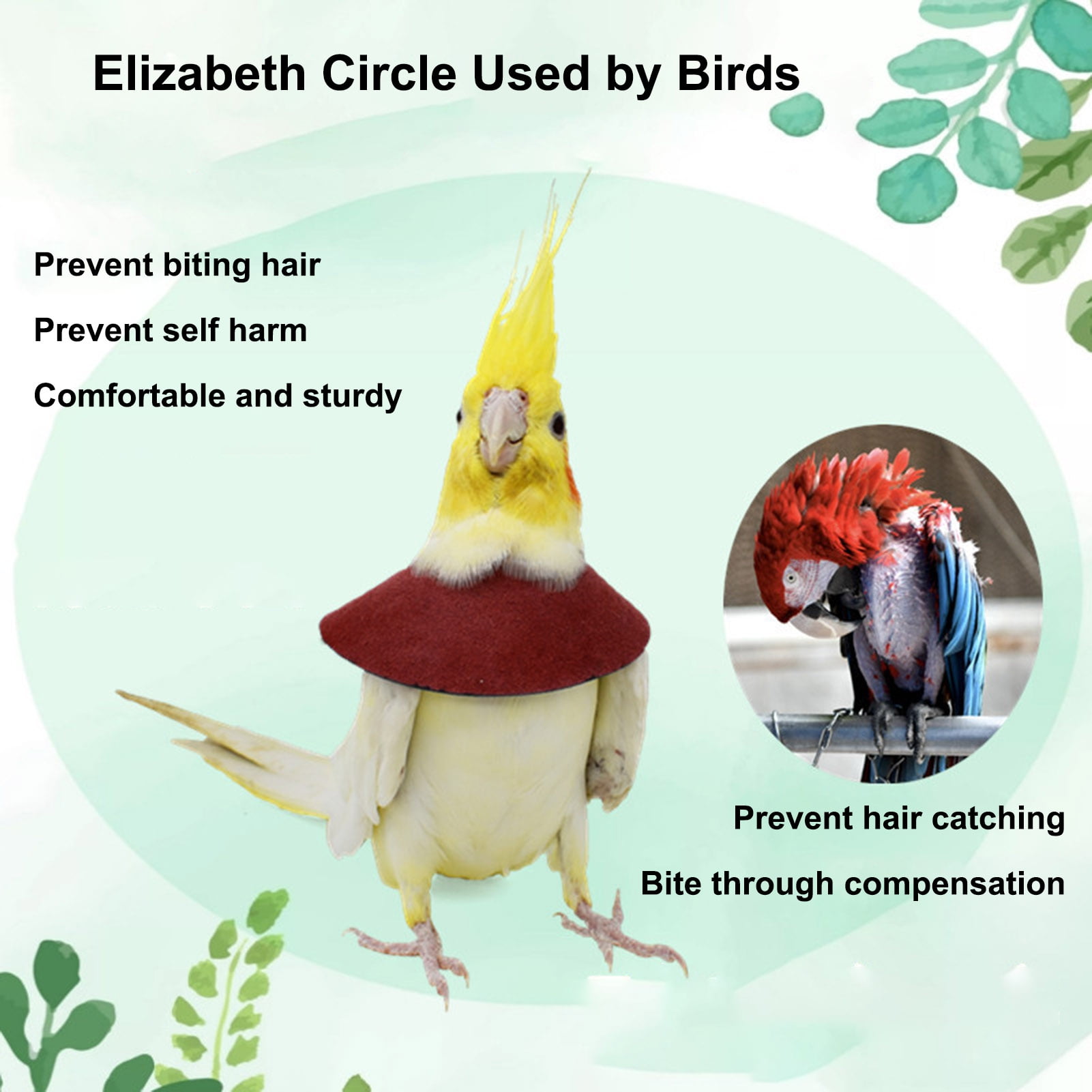 Dujiujun Adjustable Parrot Recovery Collar Anti-Biting Injury ...