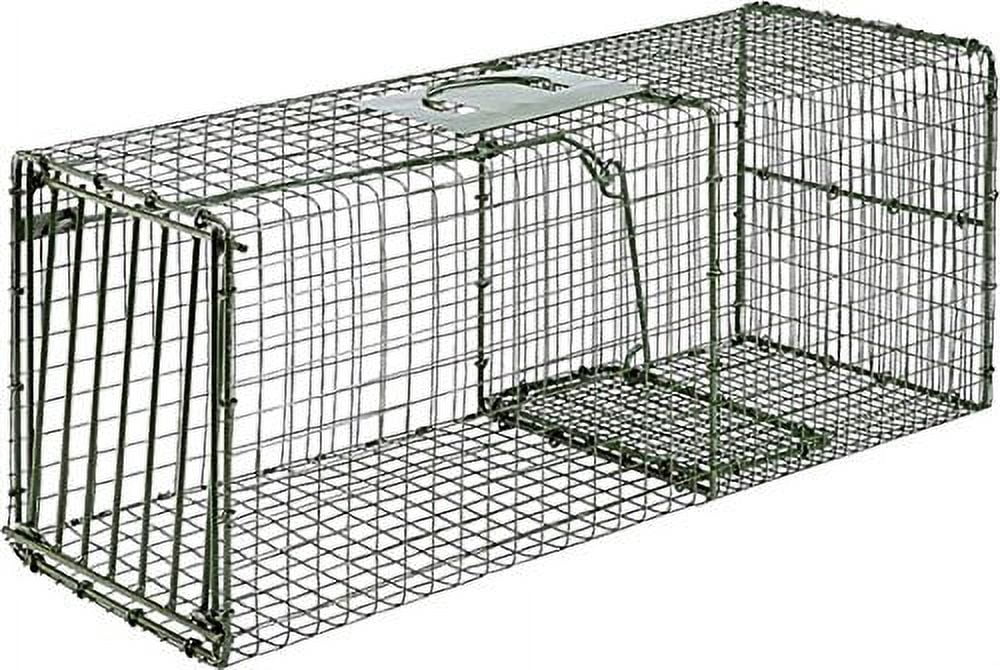 Duke Pecan Heavy-duty Cage Trap, 30x12x12, Raccoon, Cat, Armadillo ...
