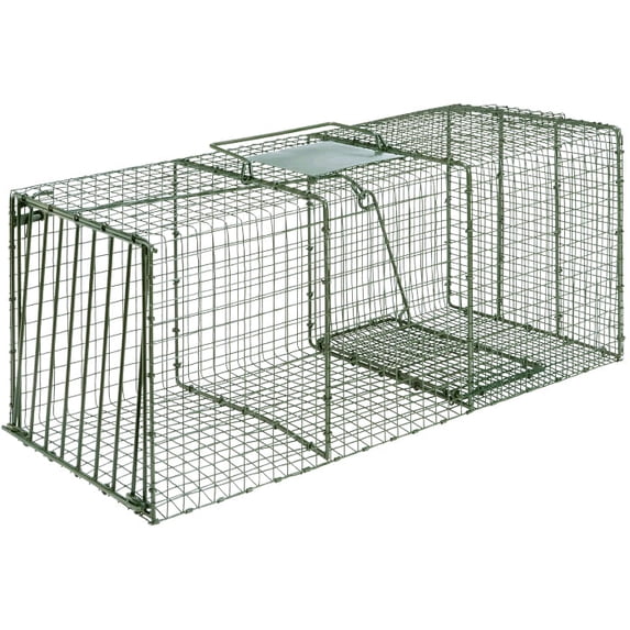 Duke Heavy Duty Cage Trap, Reusable, Catch Release, Steel Frame, Green ...