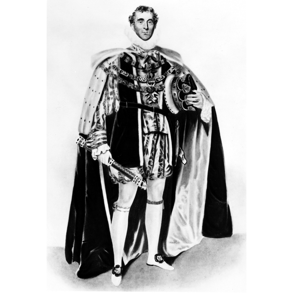 Duke Of Wellington N(1769-1852). Arthur Wellesley 1St Duke Of ...