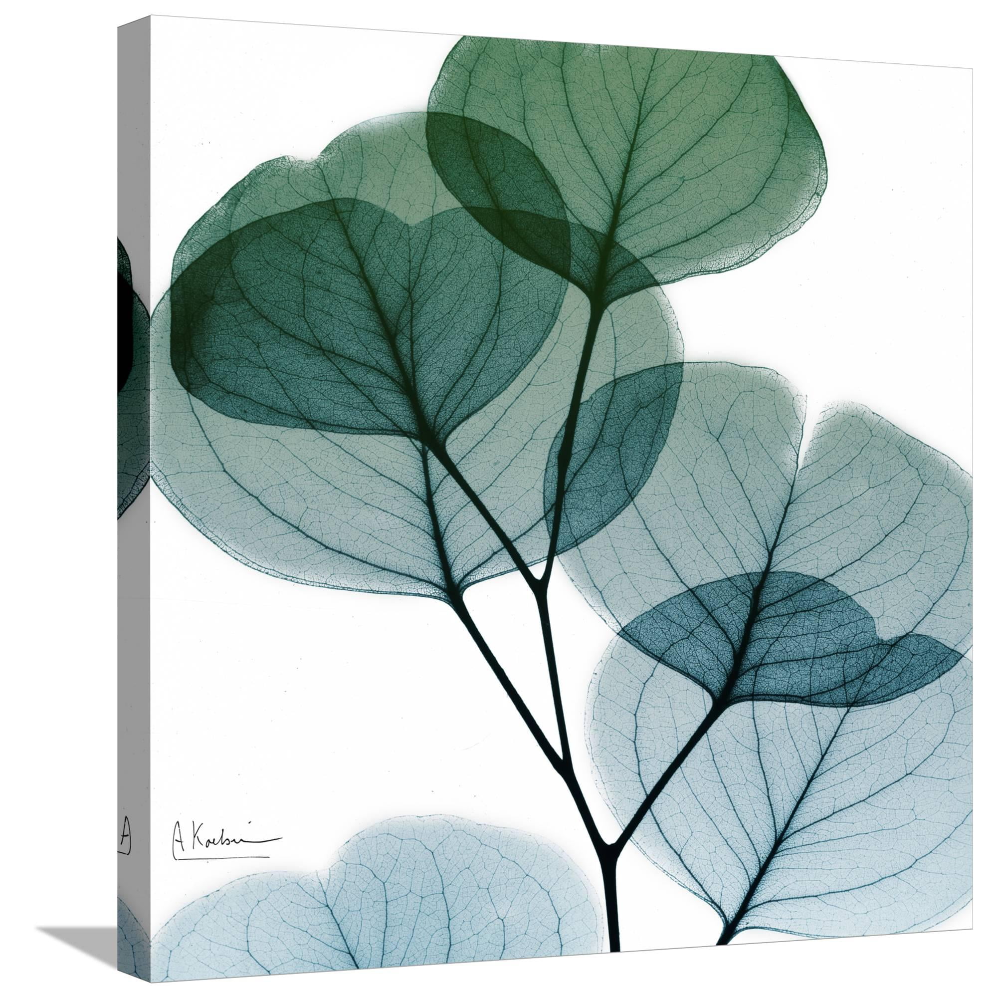 Art.com Dull Eucalyptus Mate Stretched Canvas Print Wall Art by Albert ...