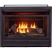 Duluth Forge Dual Fuel Ventless Gas Fireplace Insert with Natural ...