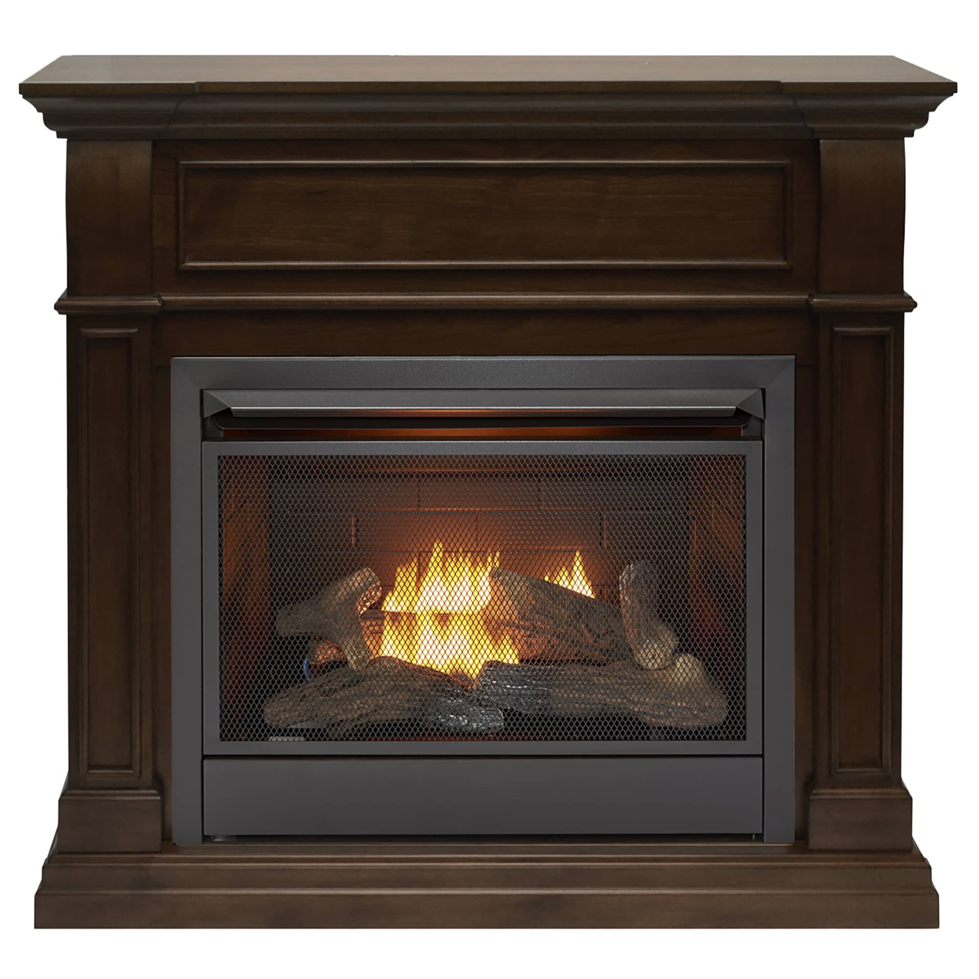 Duluth Forge Dual Fuel Ventless Fireplace Insert with Indoor Logs ...