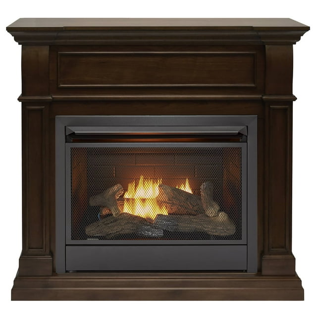 Duluth Forge Dual Fuel Ventless Fireplace Insert with Indoor Logs ...