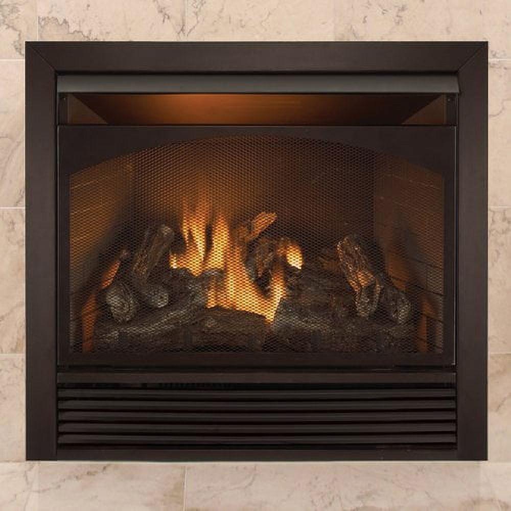 Duluth Forge Dual Fuel Ventless Fireplace Insert - 32,000 BTU, Remote ...