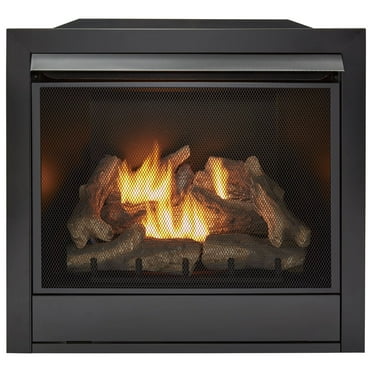 Duluth Forge Dual Fuel Ventless Gas Fireplace Insert with Natural ...