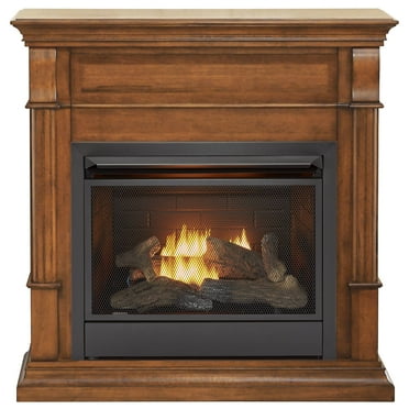 Procom Natural Ventless Gas Fireplace Insert, Dual Fuel, 15,000 BTU, T ...