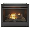 Procom Natural Ventless Gas Fireplace Insert, Dual Fuel, 15,000 BTU, T ...