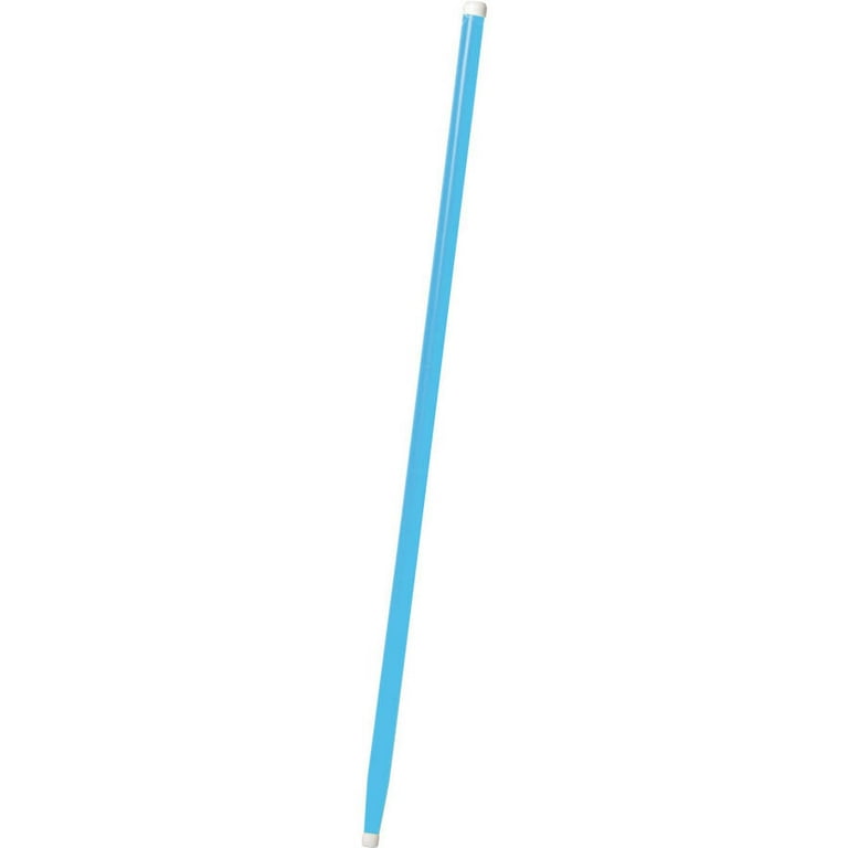 Dumb And Dumber Cane Fight