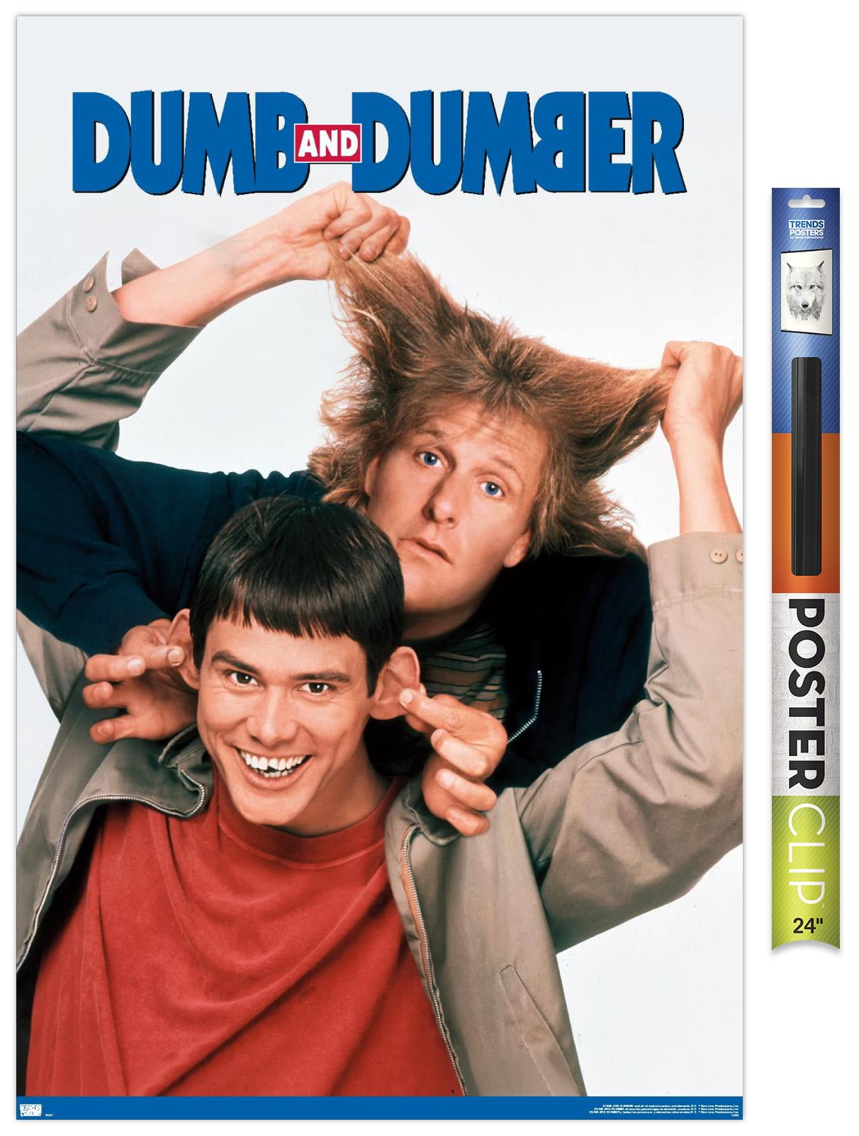 Dumb And Dumber Movie