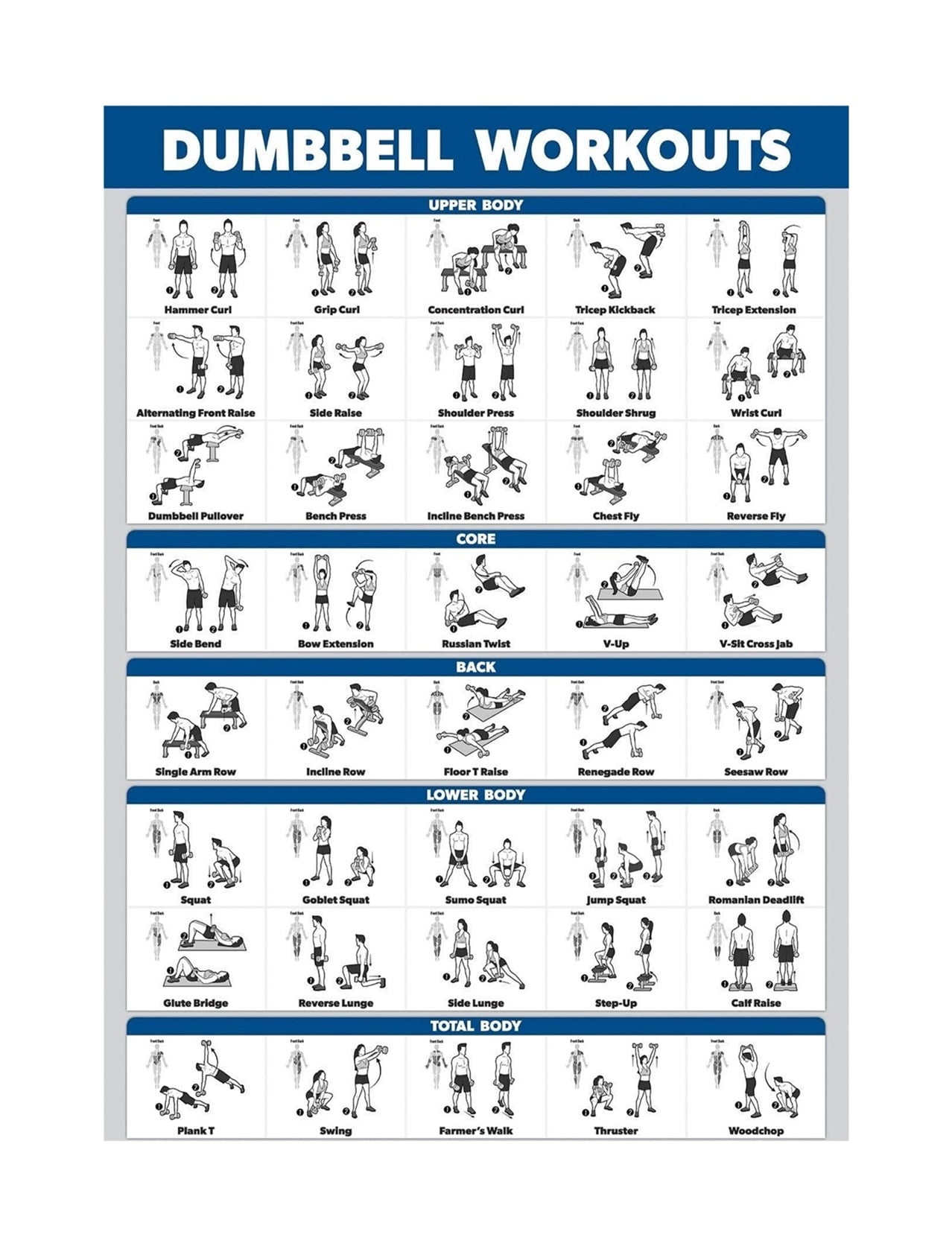 Dumbbell Workout Posters A must-have poster for fitness enthusiasts ...