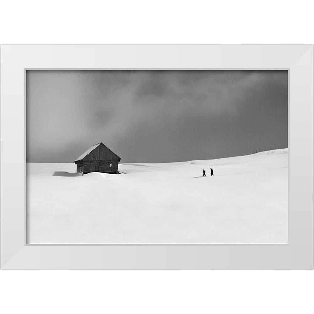 Dumitrescu, Vlad 18x13 White Modern Wood Framed Museum Art Print Titled ...