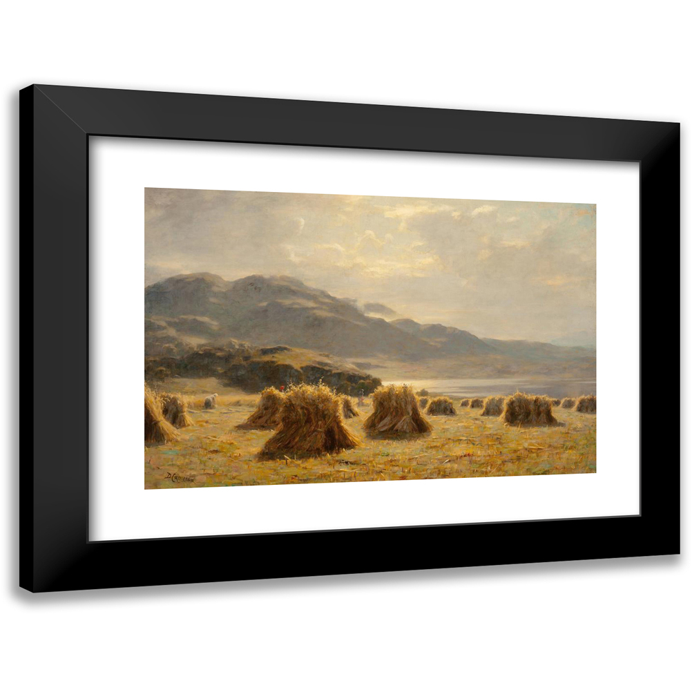 Fifer, Diane 18x11 White Modern Wood Framed Museum Art Print Titled ...