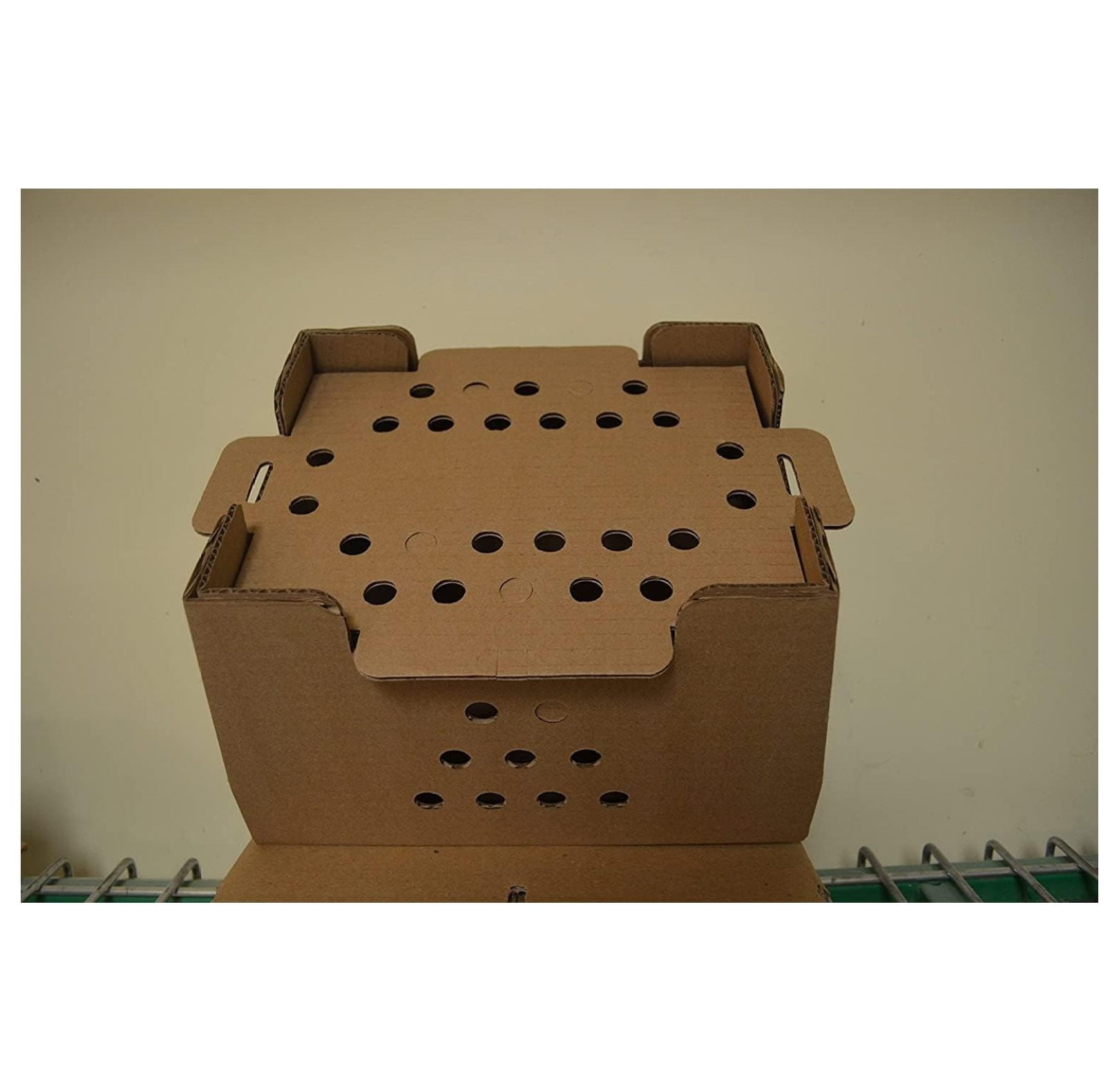 Duncans Poultry 10 - Baby Chick Shipping Boxes. Hold 25 Chicks ...