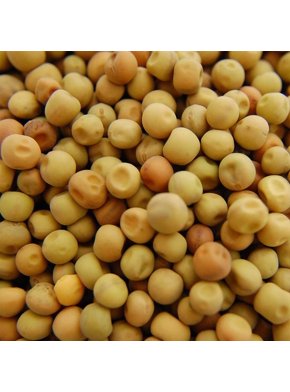 Pea Seeds in Seed Gardening - Walmart.com