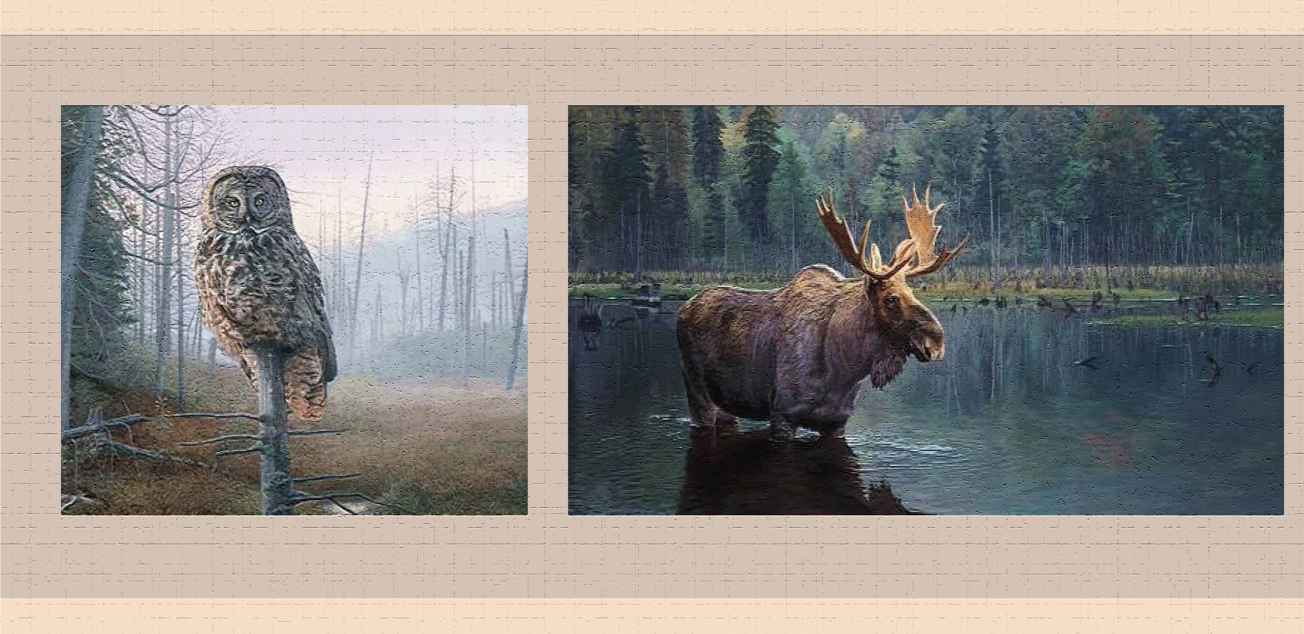 Dundee Deco's Peel and Stick Wallpaper Border - Nature Black Tan Owl ...