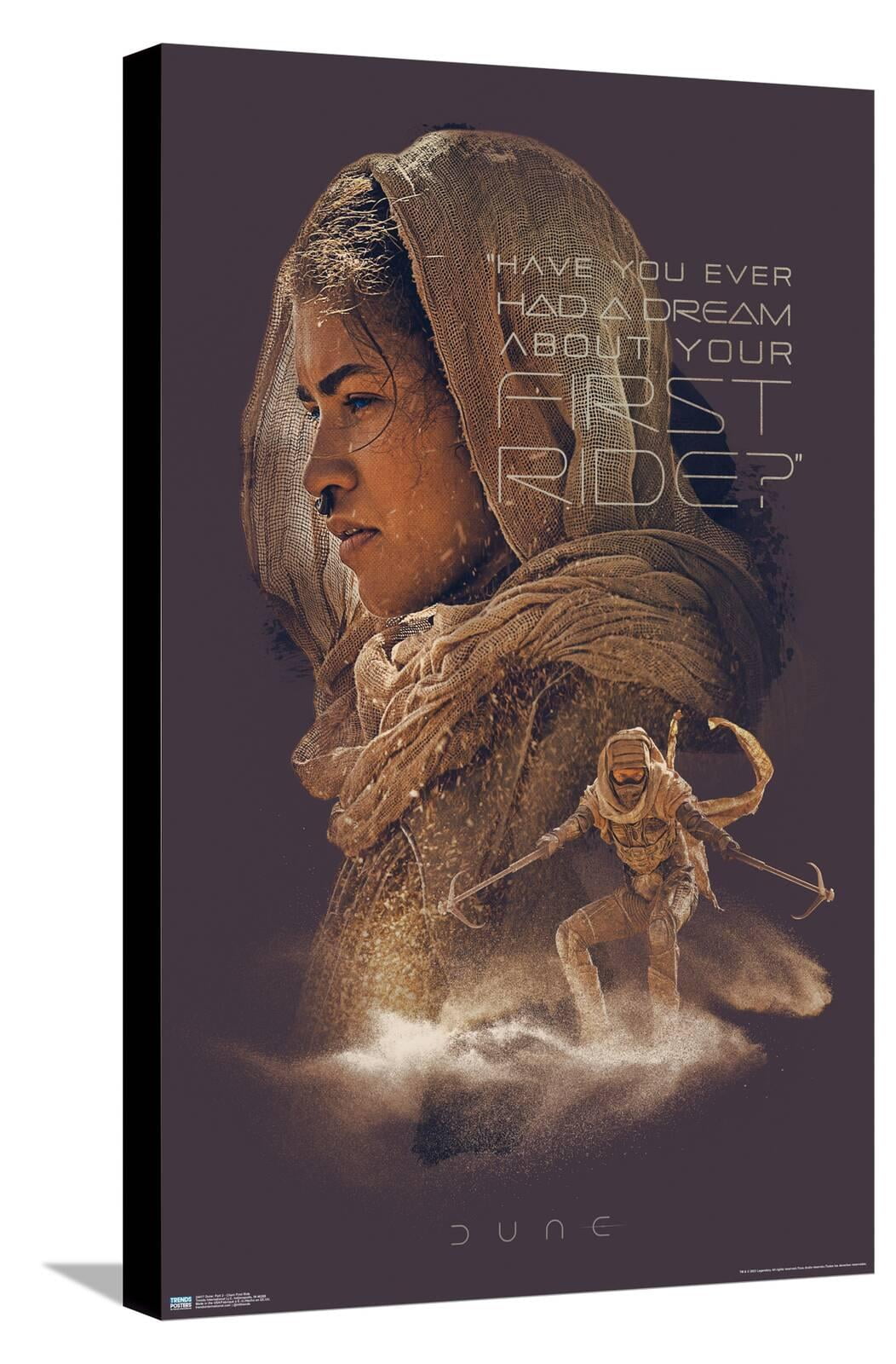 Dune: Part 2 - Chani First Ride Canvas Wall Poster, 14.725" x 22.375 ...