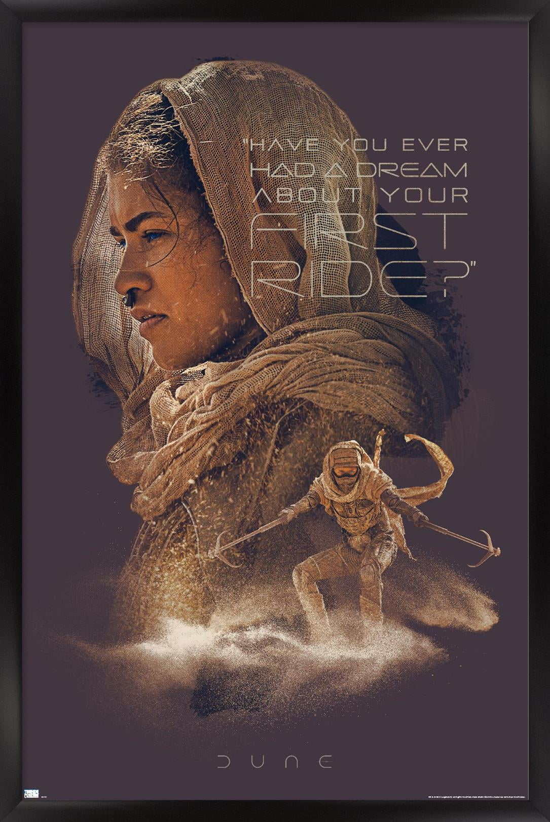 Dune: Part 2 - Chani First Ride Wall Poster, 14.725" x 22.375" Framed ...