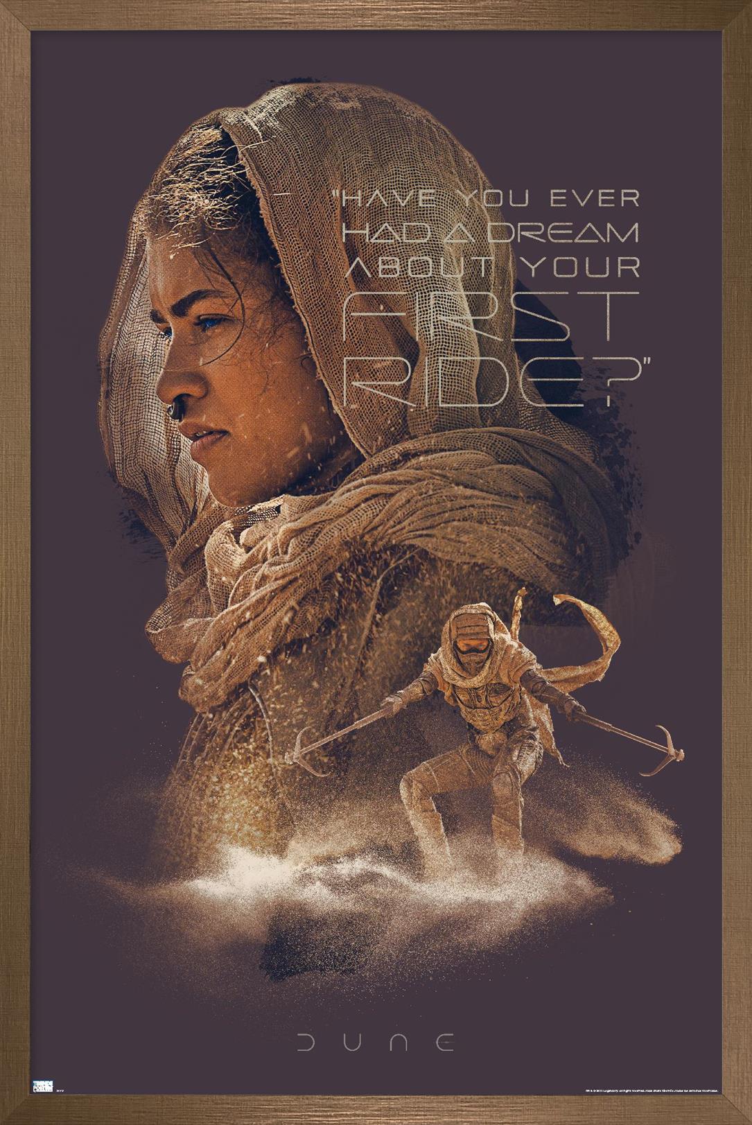 Dune: Part 2 - Chani First Ride Wall Poster, 22.375" x 34" Framed ...
