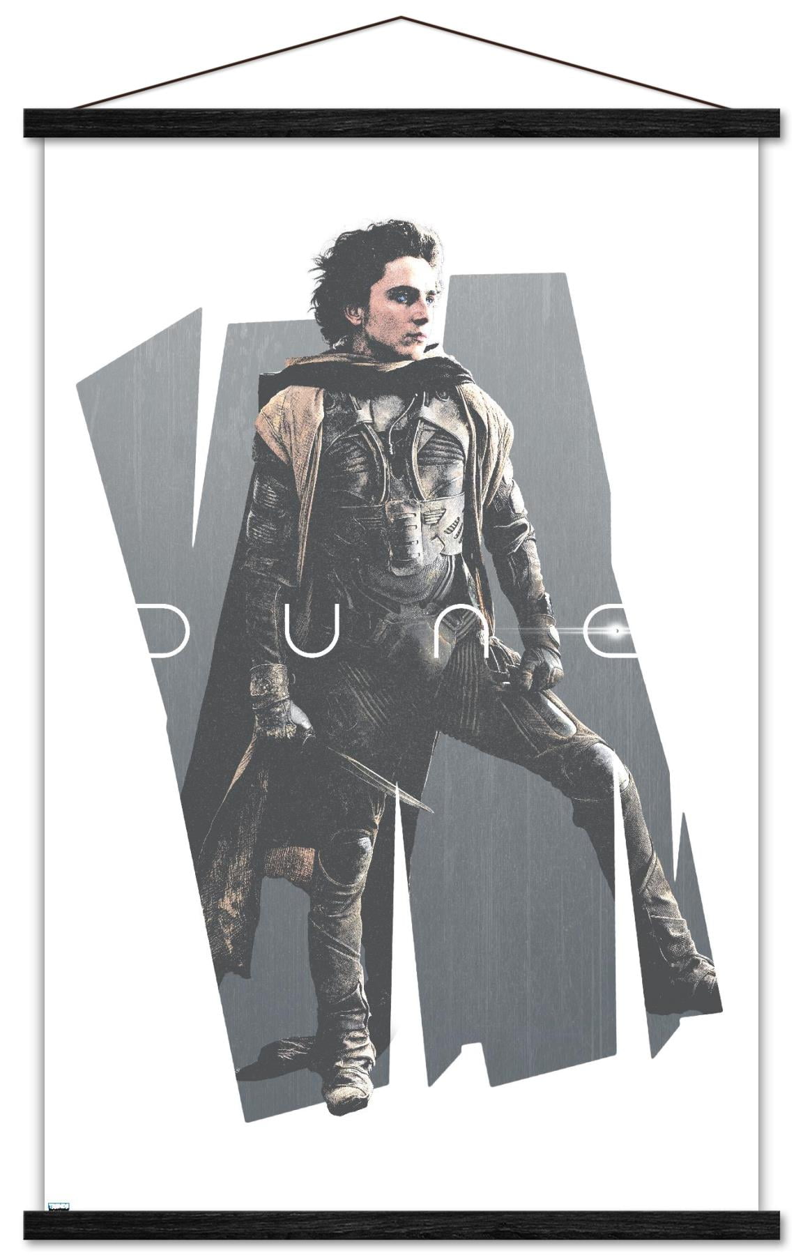 Dune: Part 2 - Paul Atreides Profile Wall Poster with Magnetic Frame ...